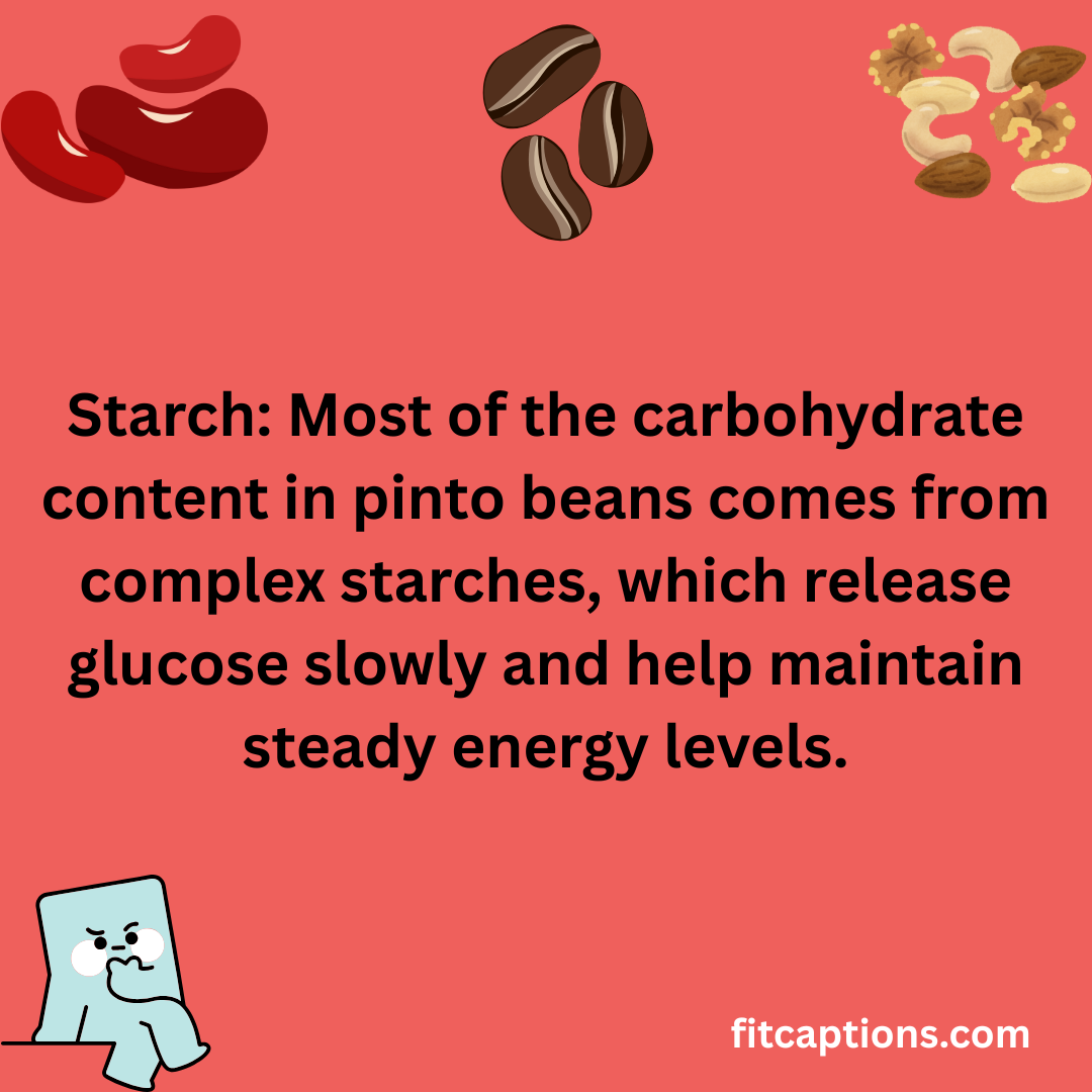 177+ Pinto Beans Nutrition Facts: Calories, Protein, Fiber & Health ...